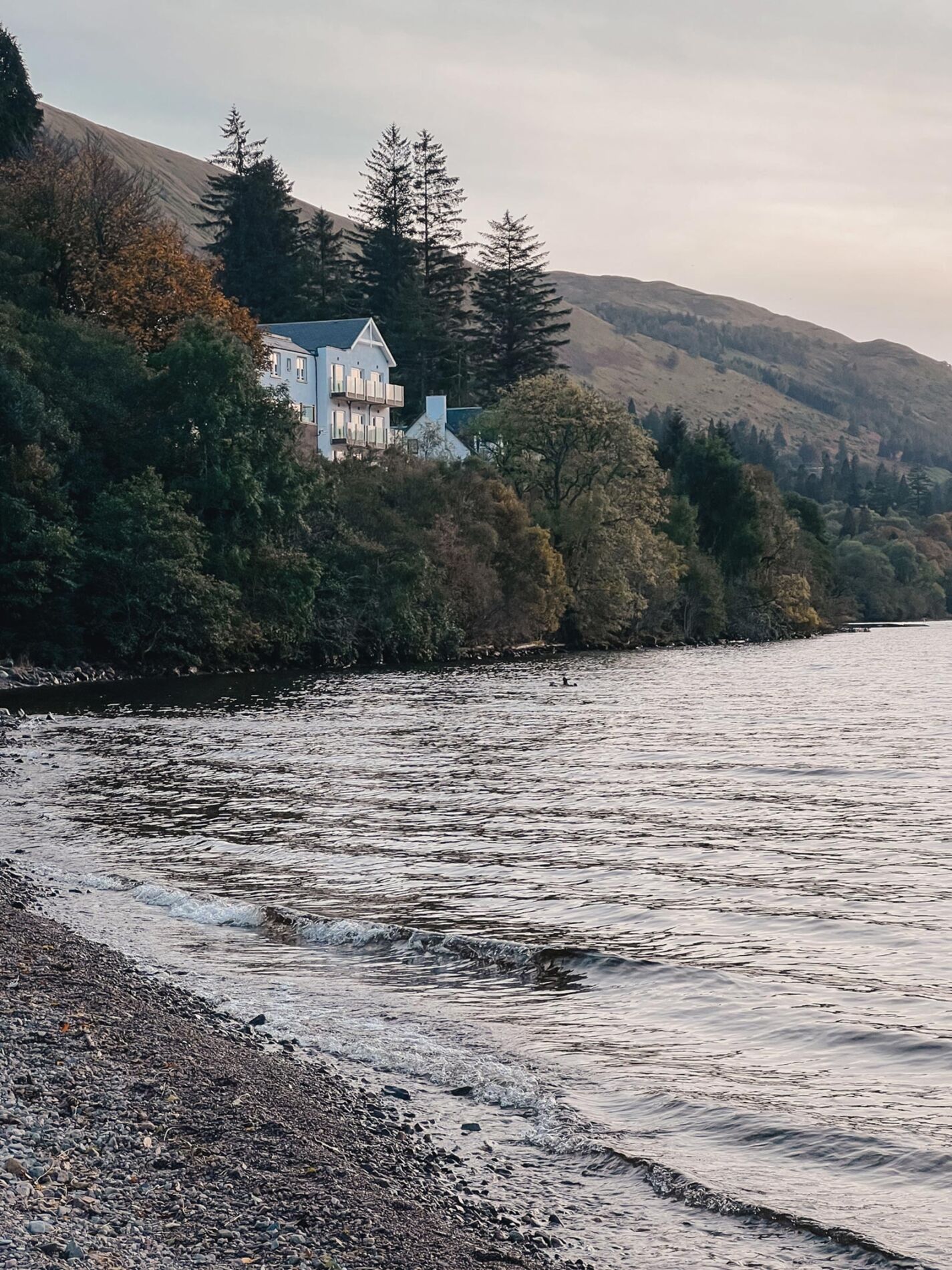Whispering Pine Lodge: the best place to stay in the Highlands