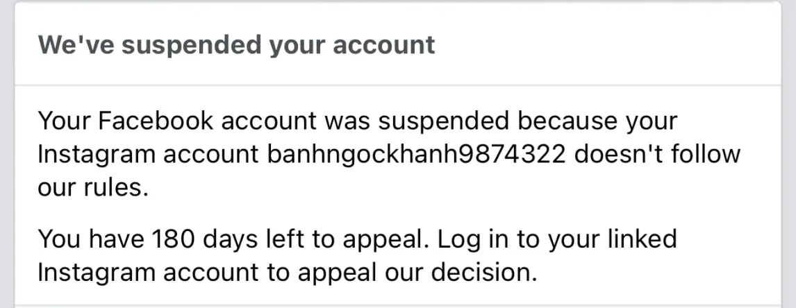 Meta account suspended? Here's how I got my Facebook back...